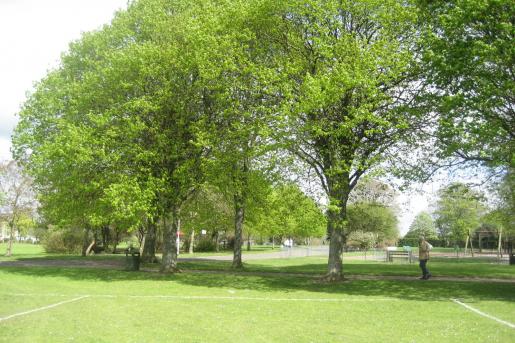 Devonport Park | Devon Gardens Trust
