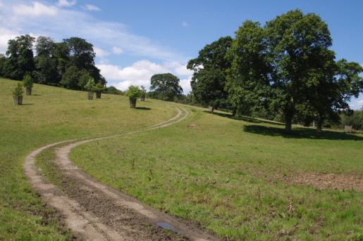 Dunsland House | Devon Gardens Trust